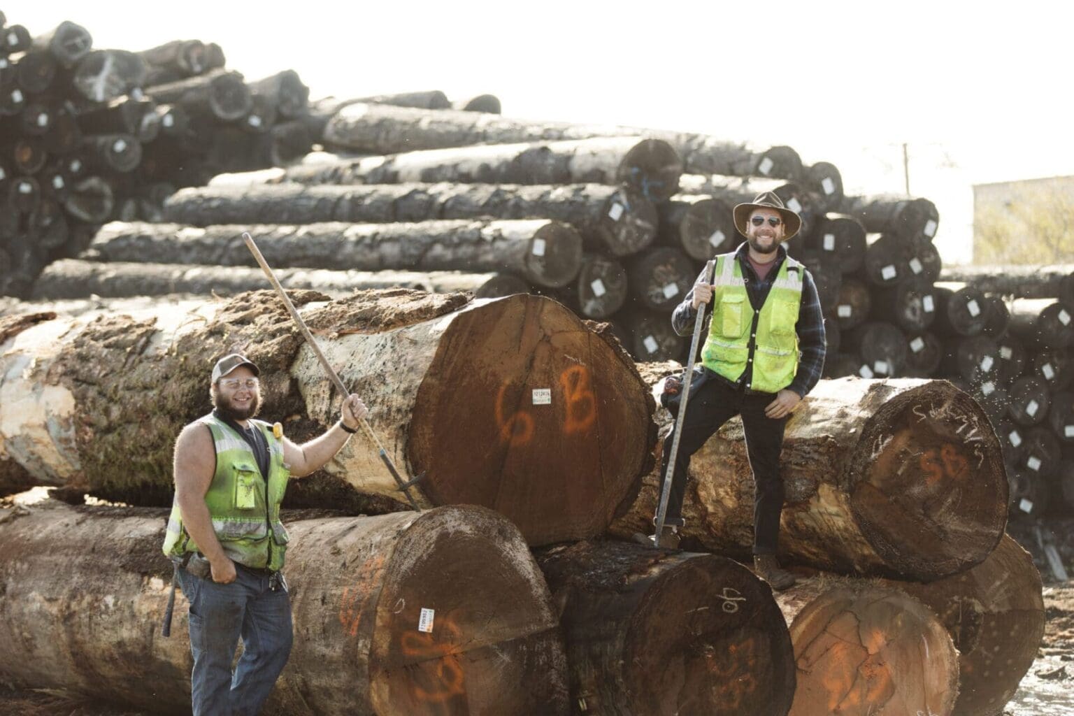 Log Procurement | Zip-O-Log Mills, Inc.